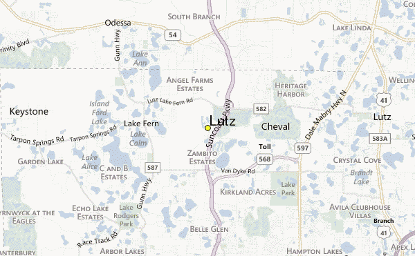 Lutz Weather Station Record - Historical weather for Lutz, Florida