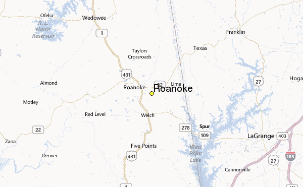 Roanoke Weather Station Record - Historical weather for Roanoke, Alabama
