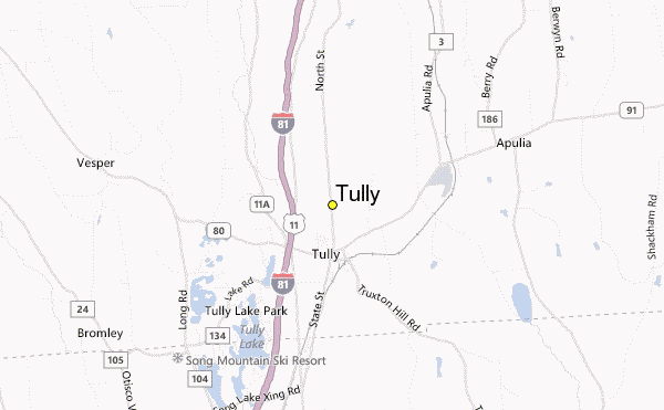 Tully Weather Station Record - Historical weather for Tully, New York