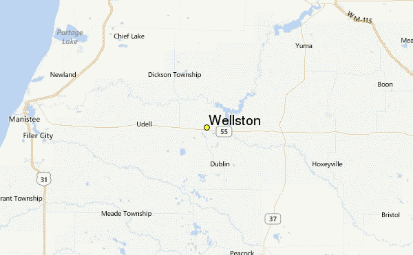 Wellston Weather Station Record - Historical weather for Wellston, Michigan