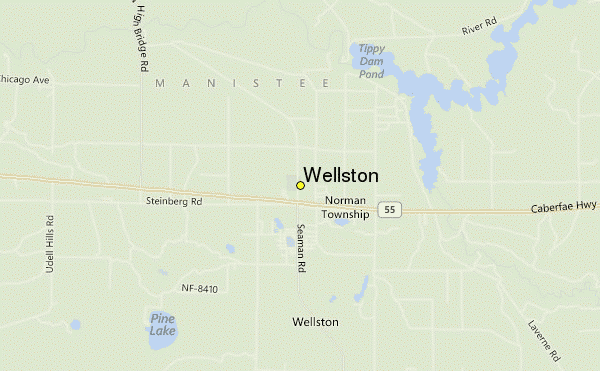 Wellston Weather Station Record - Historical weather for Wellston, Michigan
