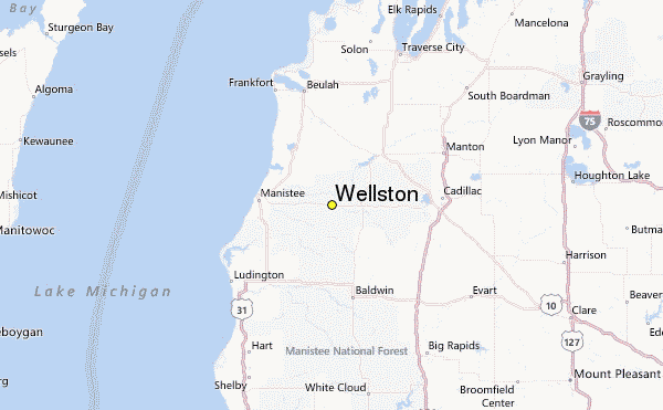 Wellston Weather Station Record - Historical weather for Wellston, Michigan