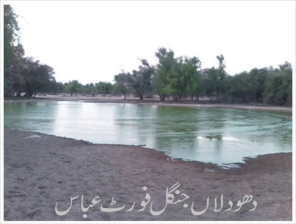 Fort Abbas Photo by tahir naeem | 12:55 pm 28 May 2014