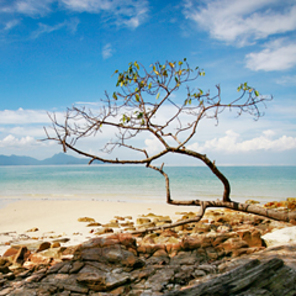 Tangail Photo by dipu | 9:18 am 19 Jan 2012