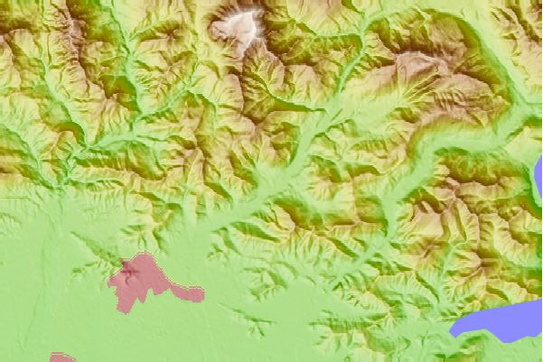 Albino Location Guide